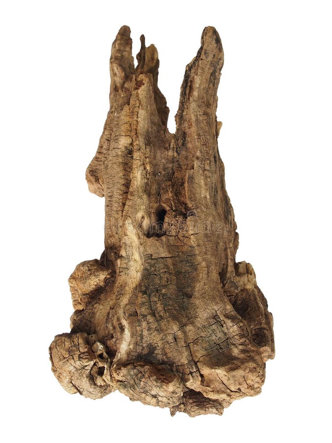 Stumb stock photo. Image of stool, stub, cracked, molder - 30105154