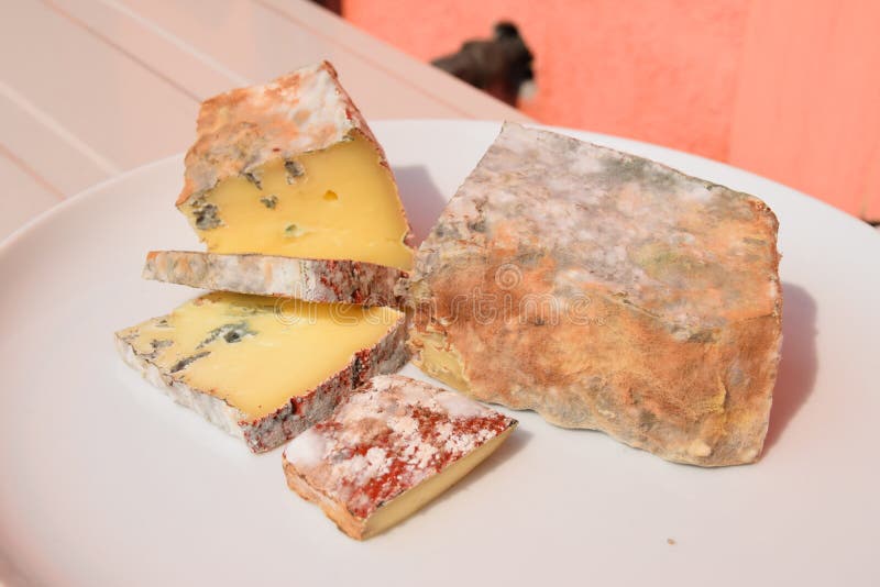 Decay,rotten chese,2 stock image. Image of decay, yellow - 52820705