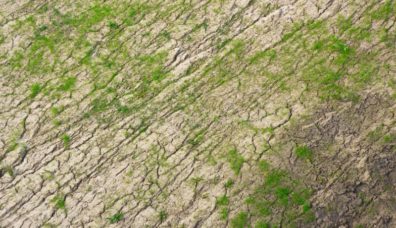 The Decay of Soil after a Drought, the Influence of an Aggressive ...