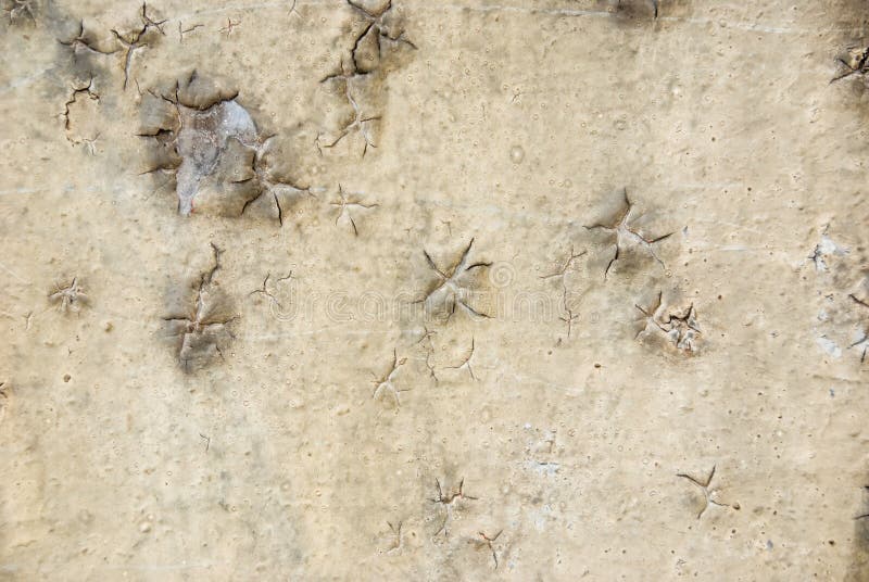 Decay texture stock image. Image of abandoned, antique - 5045589