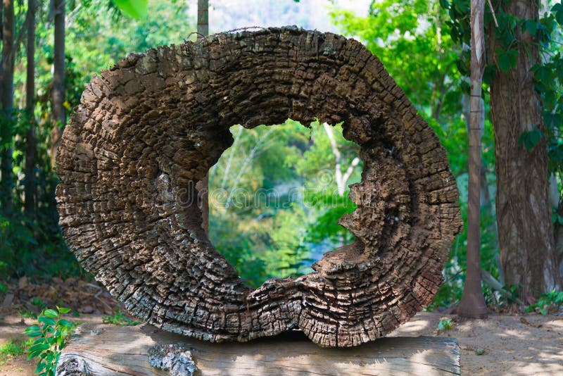 Decay Wood in Garden or Park. Stock Image - Image of texture, outdoor ...