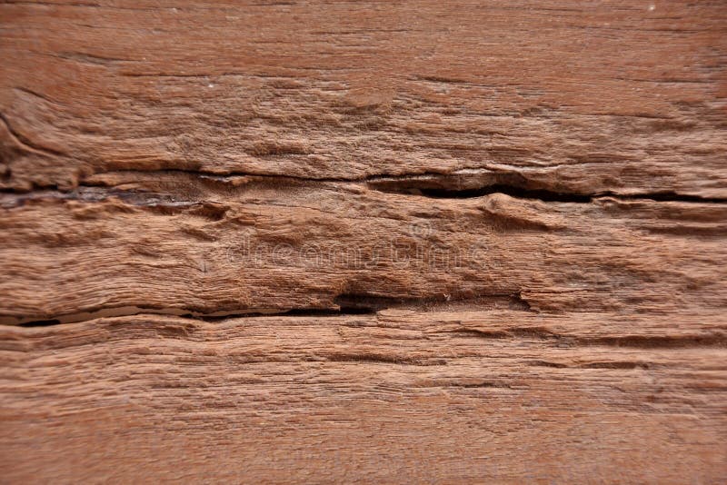 Decay Wood, Old Wood Texture Stock Image - Image of broad, abstract ...