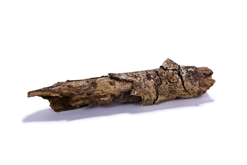 206 Decay Wood Stick Stock Photos - Free & Royalty-Free Stock Photos ...