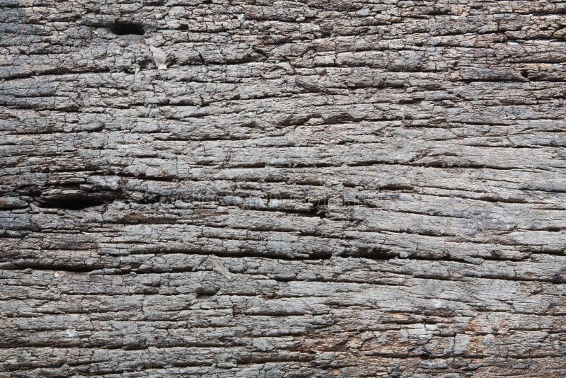 Decay wood stock photo. Image of effects, arts, grunge - 43711208