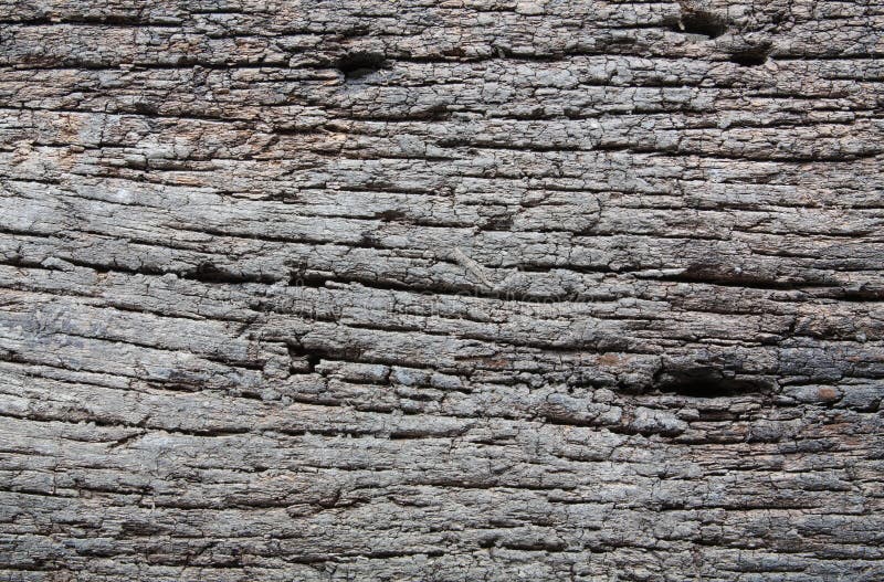 Decay wood stock photo. Image of exterior, organization - 43711426