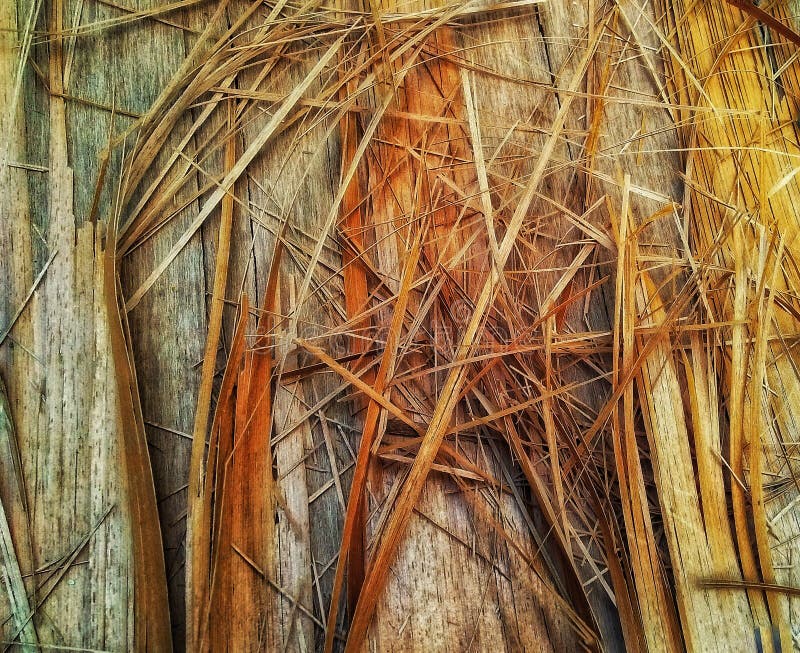 Decay Wood Textured Pattern Background Stock Image - Image of pattern ...