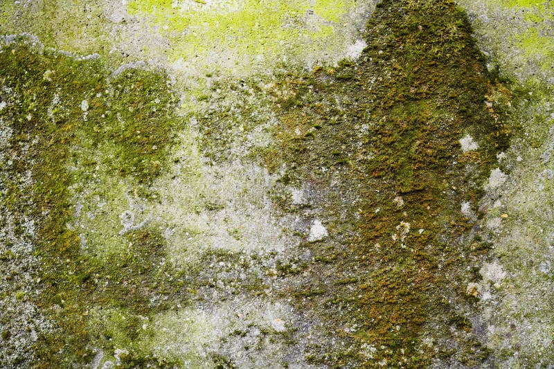 Decayed Green Moss Concrete Texture Stock Photo - Image of damaged ...