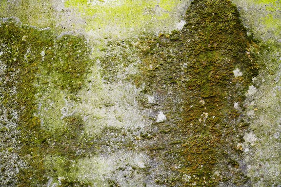 Decayed Green Moss Concrete Texture Stock Photo - Image of damaged ...