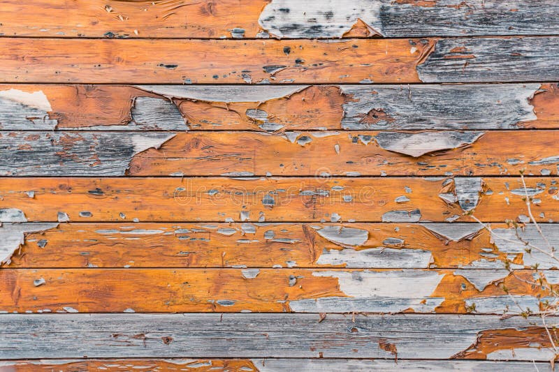 Decayed Peeling Wood Plank Texture Stock Image - Image of coat ...