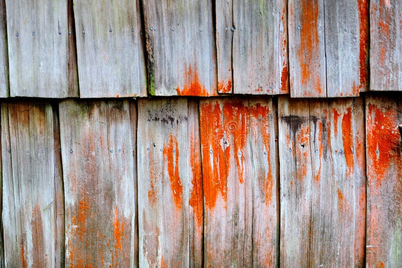 Decayed Timber stock photo. Image of wood, deterioration - 32616328