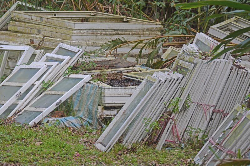 Decayed Window Frames Overgrown with Plants Stock Image - Image of ...