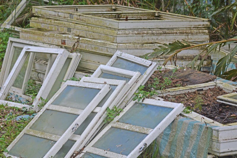 Decayed Window Frames Overgrown with Plants Stock Image - Image of ...