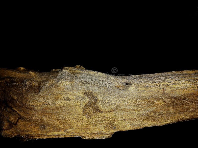 Decayed wood stock image. Image of wood, bonsai, dark - 105392833