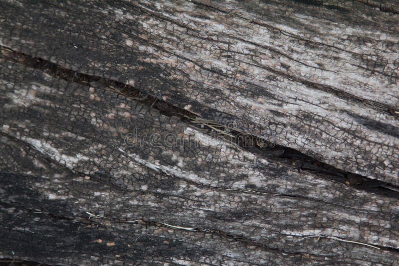 Decayed Granite Rock As Ball, Fujian, China Stock Photo - Image of ball ...