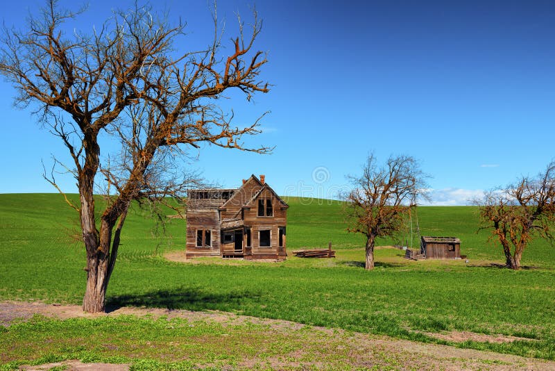 Decaying Oregon Homestead stock image. Image of green - 97311403