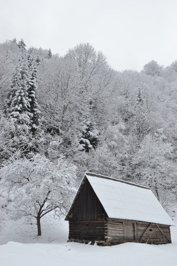 December landscape. stock photo. Image of cold, house - 29345722