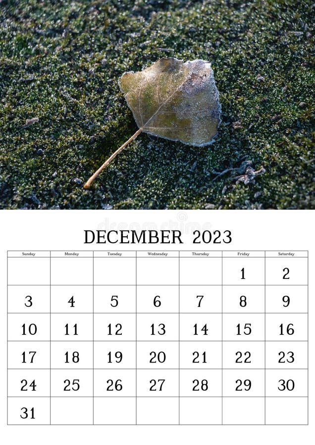 December 2023. Vector Monthly Calendar Template 2023 Year in Simple ...