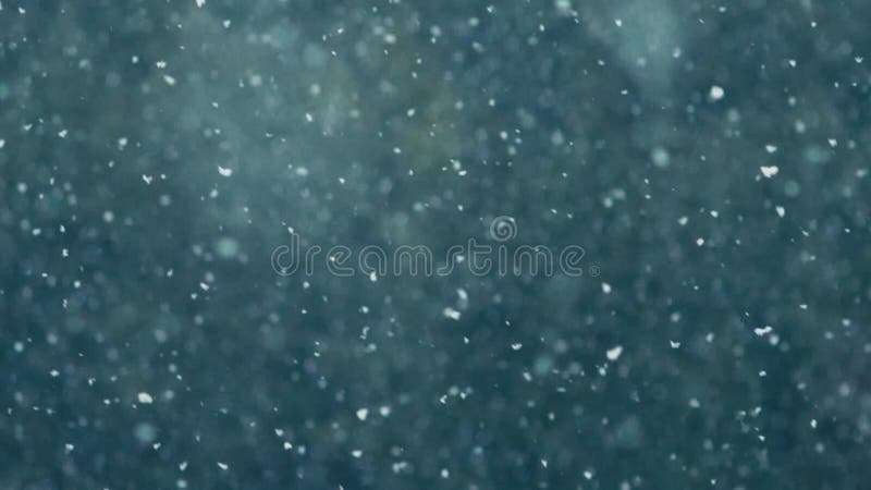 December Snowfall Falling in Large Flakes on the Background of the ...