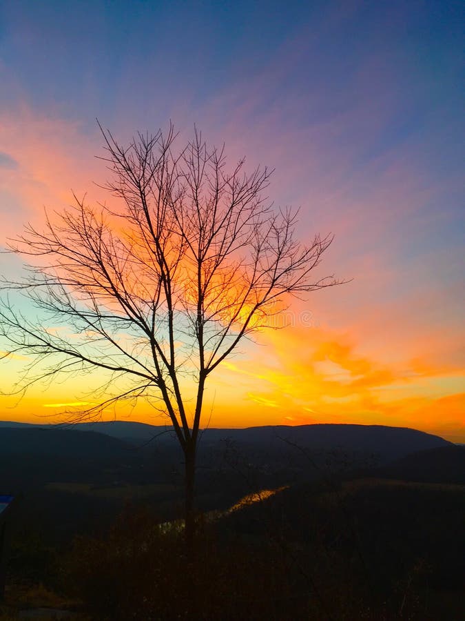 December Sunset stock photo. Image of virginia, sunset - 100151002