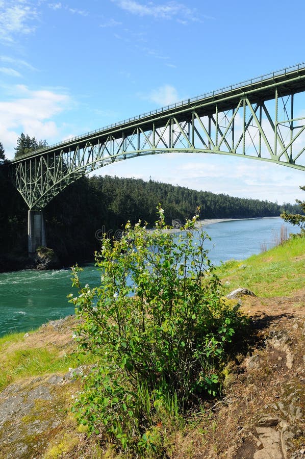 Deception pass bridge stock image. Image of scenery, scenic - 14460571
