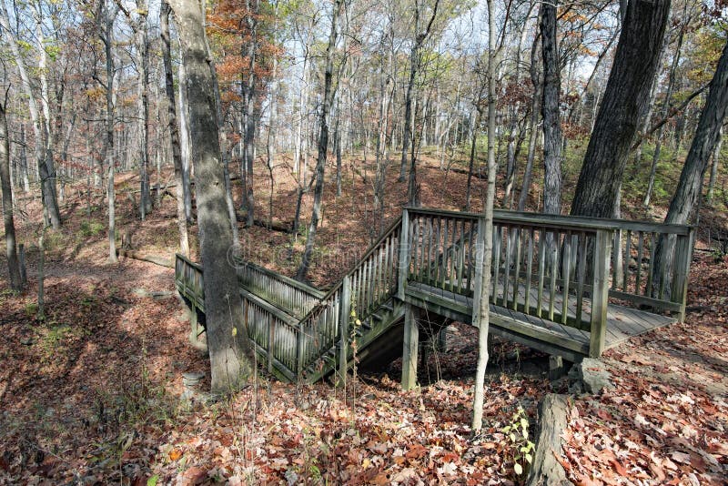 Deciduous Forest with Long Wooden Bridge in Late Fall Stock Photo ...