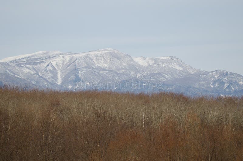 Deciduous Forest and Mountains. Stock Image - Image of summits ...