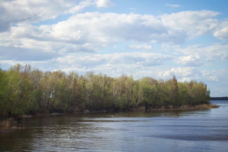 Deciduous Forest on the River Bank and Blue Sky with Clouds Above it ...