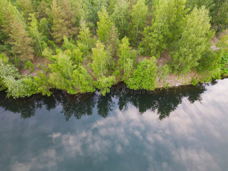Deciduous Forest on the Shore of a Lake in Which Trees and Clouds are ...