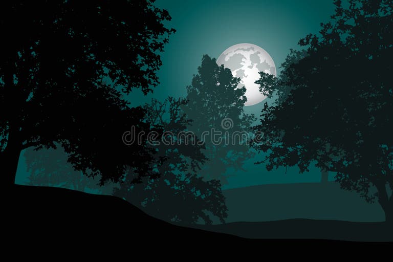 Forest Night Stock Illustrations – 427,046 Forest Night Stock ...