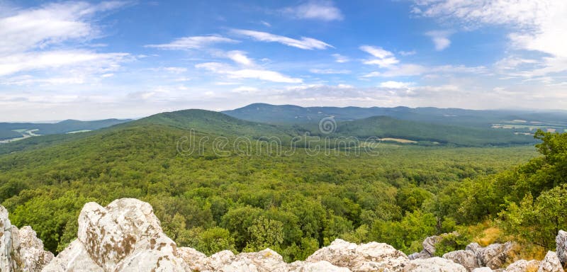 Deciduous Forests Panoramic View Stock Photo - Image of panoramic, open ...
