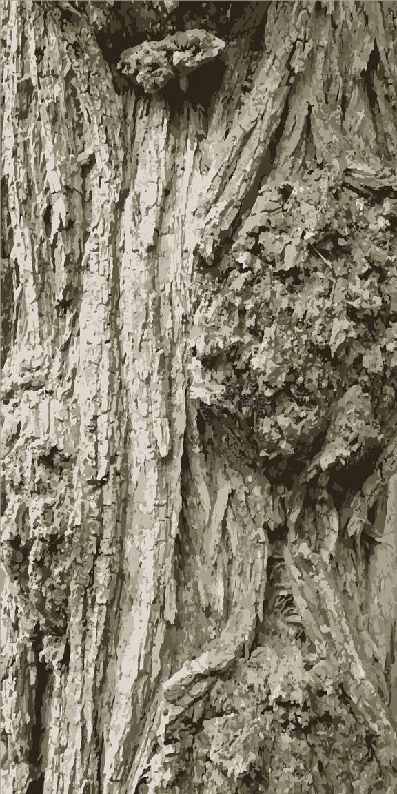 Deciduous Tree Bark. Texture of Rough Tree Bark Stock Illustration ...