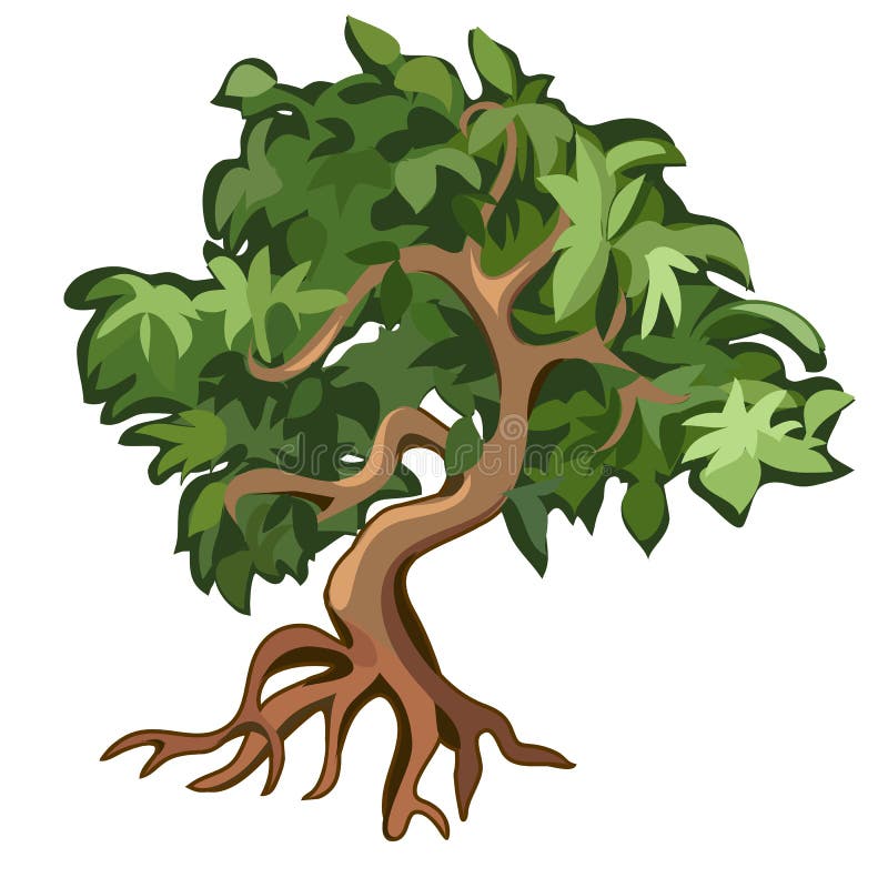 Tree Roots Cartoon Stock Illustrations – 1,941 Tree Roots Cartoon Stock ...