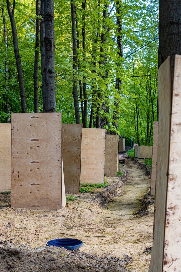 Deciduous Tree Whose Trunk is Protected by a Sheet of Plywood Stock ...