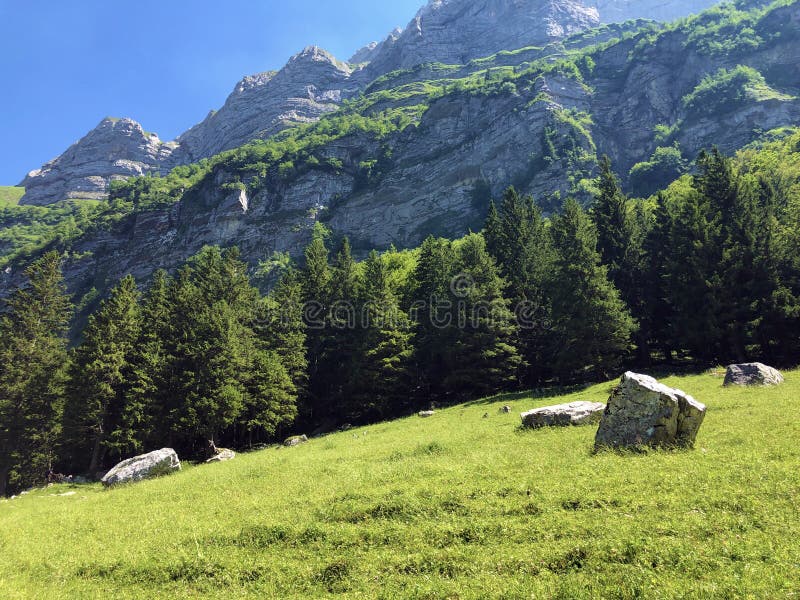 Deciduous Trees and Forests in the Alpstein Mountain Range and in the ...