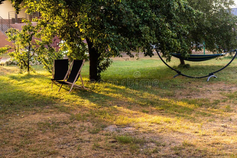 Two Chairs Under Tree Park Stock Photos - Free & Royalty-Free Stock ...