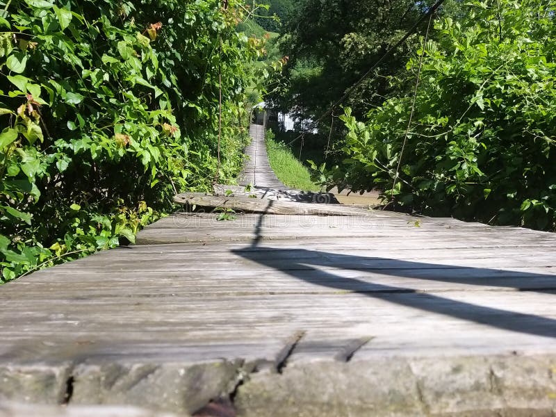 A Deck that Leads Over a River. the Deck is a Little Defective and ...