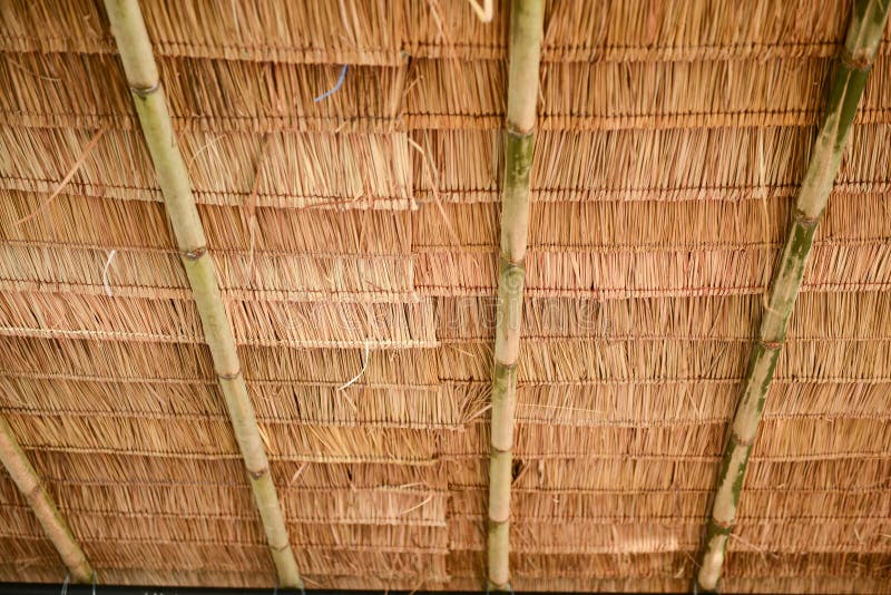 Strohdach stockbild. Bild von gras, gemasert, dach, betrieb - 28401775