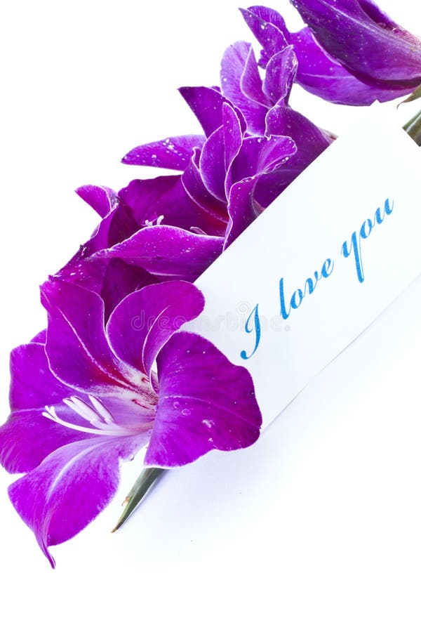 Declaration Of Love Picture. Image: 20603265