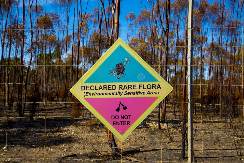 Declared Rare Flora editorial image. Image of endangered - 178505925