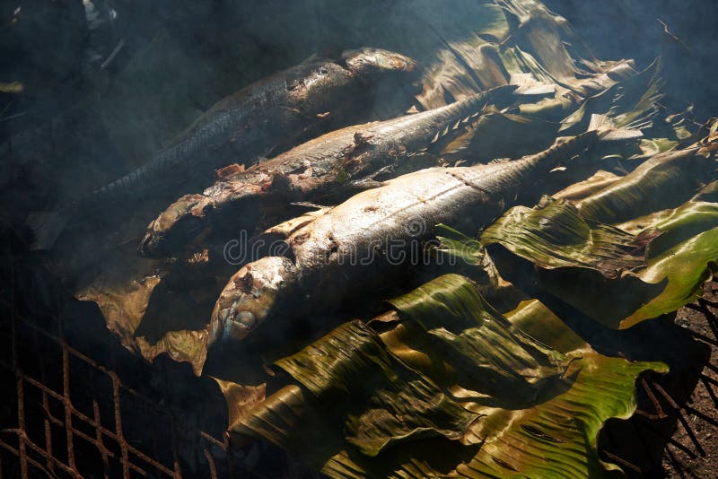 Declicious Grilled Hard Tail Fish and Smoke on the Oven Stock Image ...