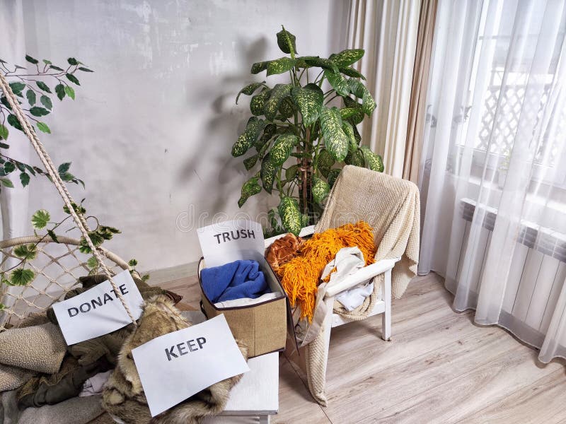 Decluttering Essentials Using the KonMari Method. Assorted Items Sorted ...