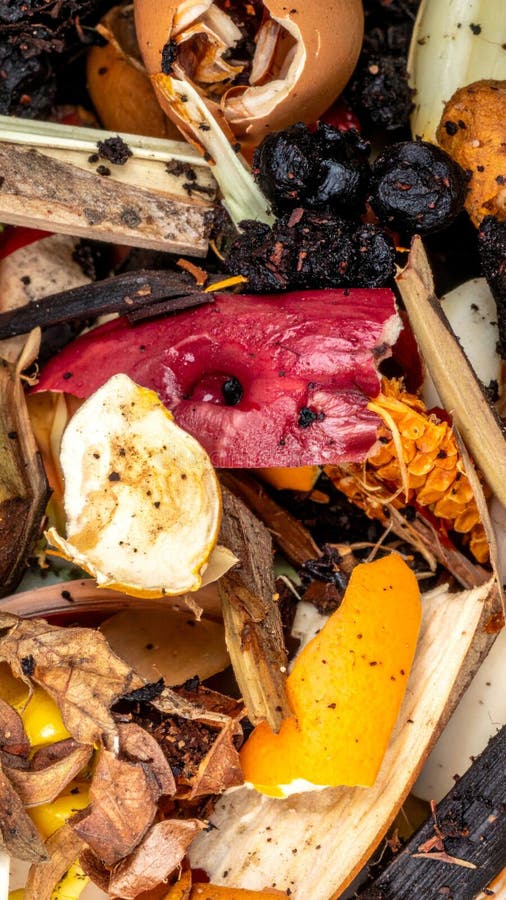Decomposing Organic Food Waste Compost Mixture of Plant Material and ...