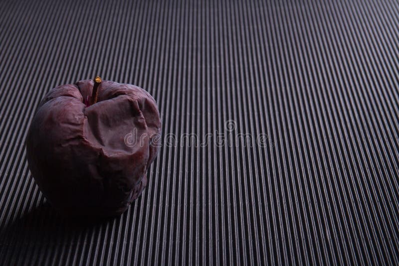 367 Apple Decomposition Stock Photos - Free & Royalty-Free Stock Photos ...