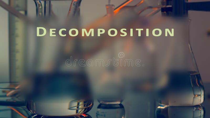 Decomposition stock image. Image of research, breaks - 339894633