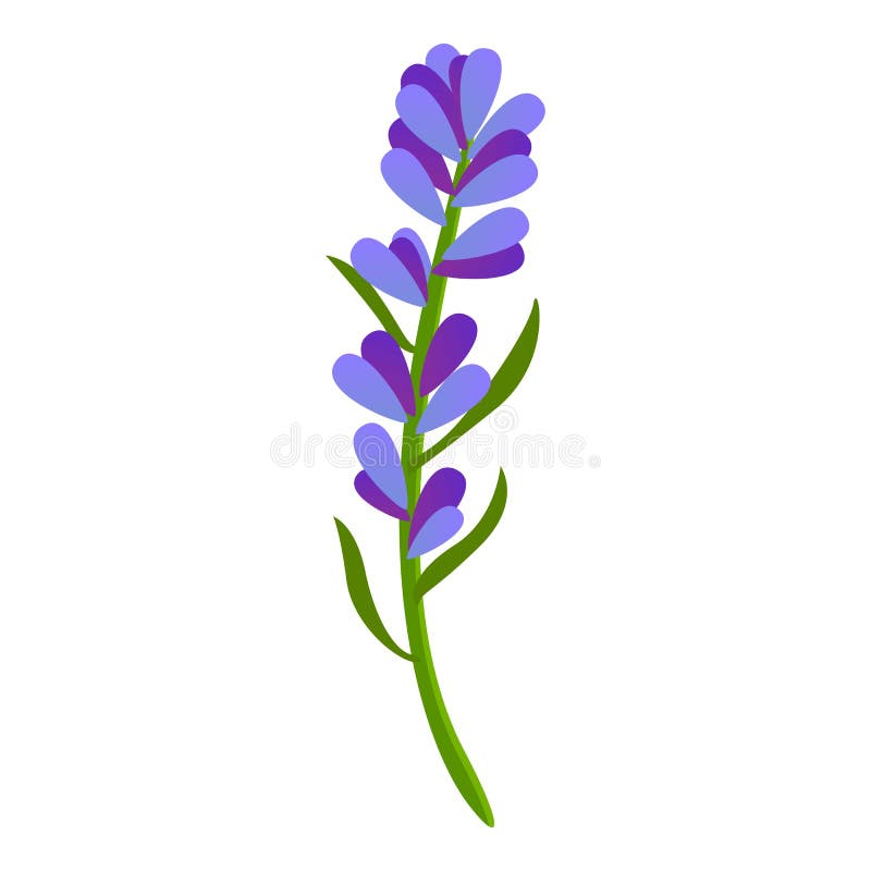 Purple Lavender Flower Icon, Cartoon Style Stock Vector - Illustration ...