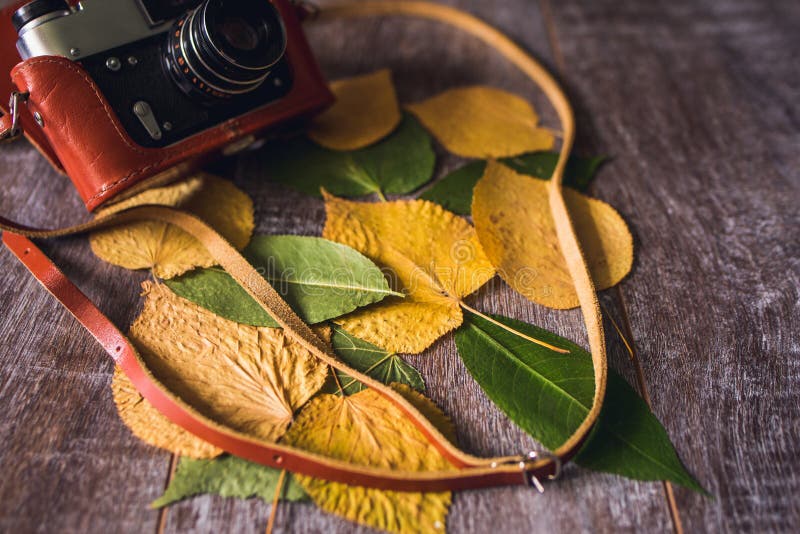 Old Camera on a Background of Autumn Leaves Stock Image - Image of ...