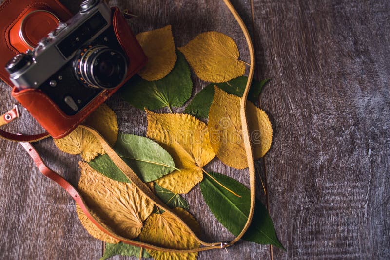 Old Camera on a Background of Autumn Leaves Stock Photo - Image of ...