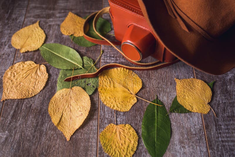 Old Camera on a Background of Autumn Leaves Stock Image - Image of wood ...