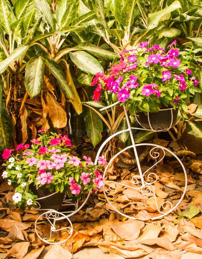 Decorate bicycle. stock image. Image of freedom, design - 39320799