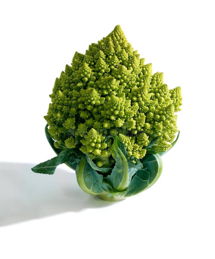 Broccoflower stock image. Image of vegetable, green, texture - 5637421